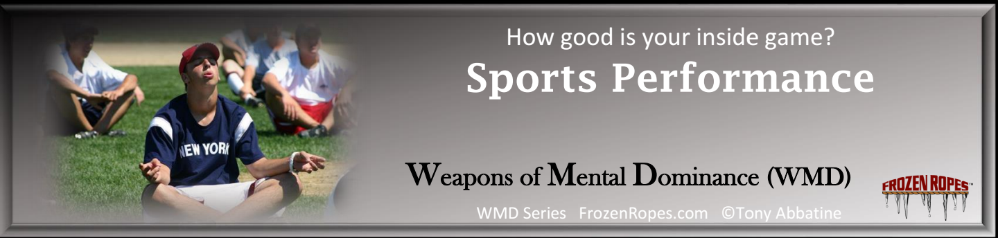 Sports Performance Banner - Frozen Ropes Chester, NY